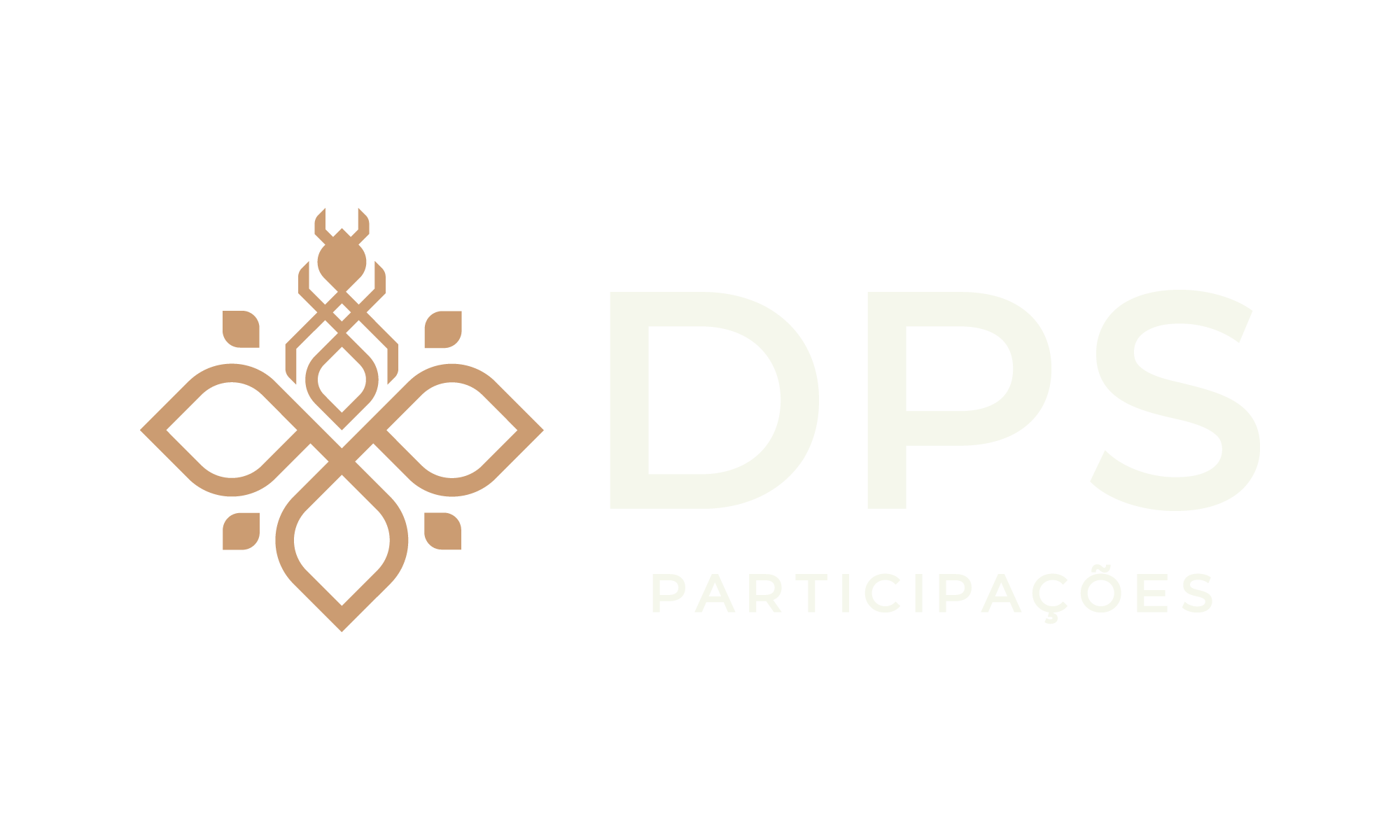 DPS Participações | Estrutura, Visão e Crescimento